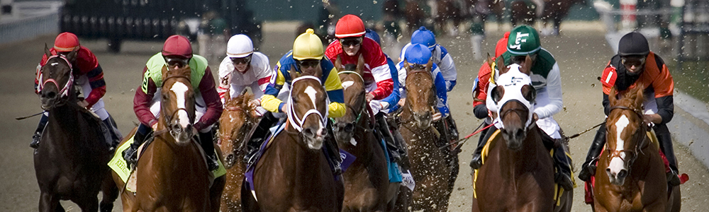 welcome | Racing Officials Accreditation Program